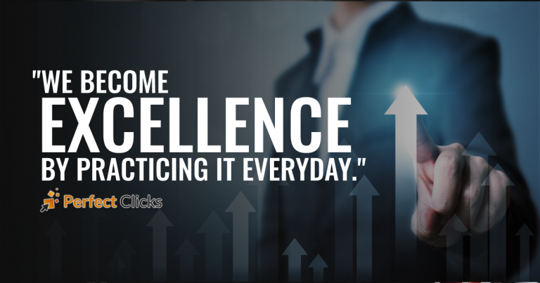 Practice Excellence - Perfect Clicks LLC - Web Development & SEO In New ...